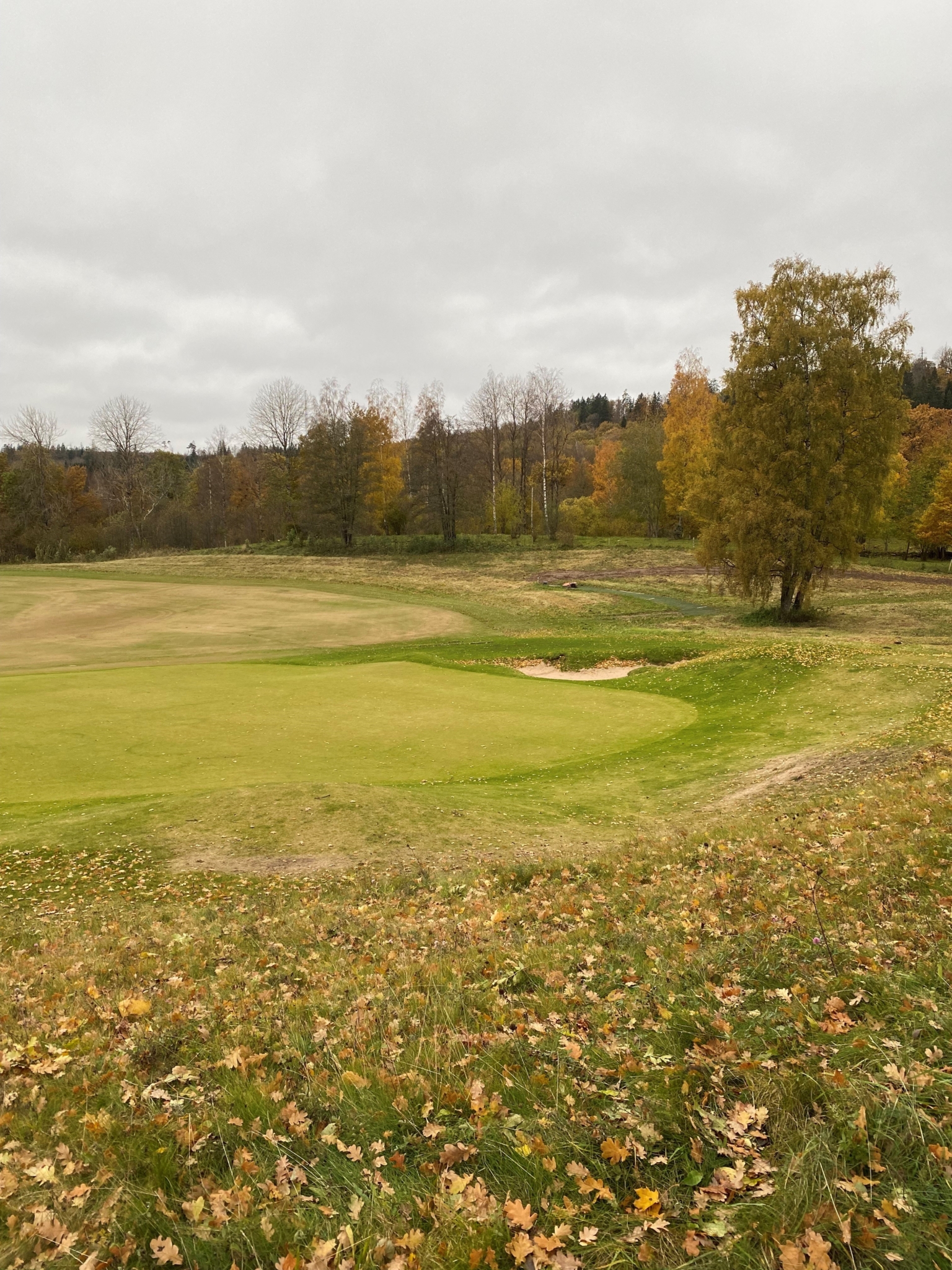 Höstårsmöte 2025 den 22 november - Västergötlands Golfförbund